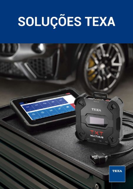 Diagnostic interfaces for the TRUCK environment - TEXA S.p.A.